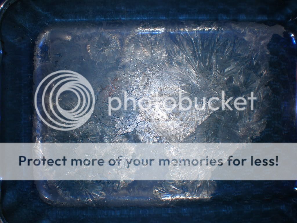 Extracting DXM | Rollitup