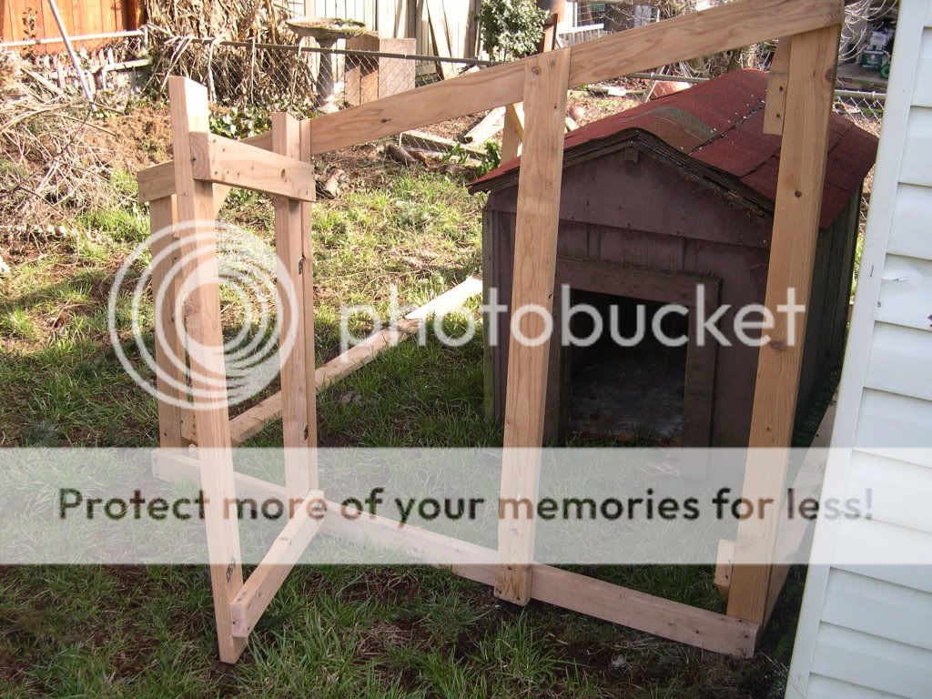 Construction Part II | Urban Chicken Farming